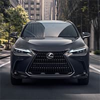 Lexus NX 250 | SUV | Crossover | Lexus Brunei